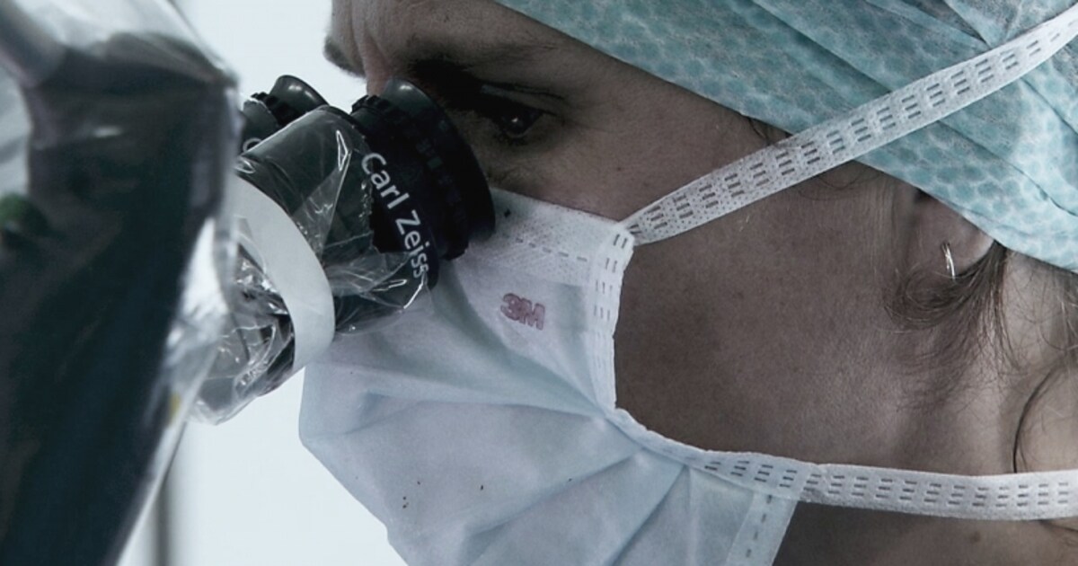 'Topdokters': twee dagen in het spoor van Guido Dua en Mania De Praeter ...