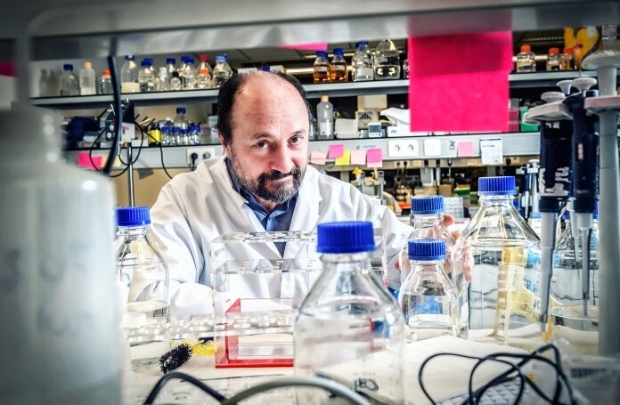 'Kom op tegen alzheimer': toponderzoekers Christine Van Broeckhoven en Bart De Strooper luiden ...