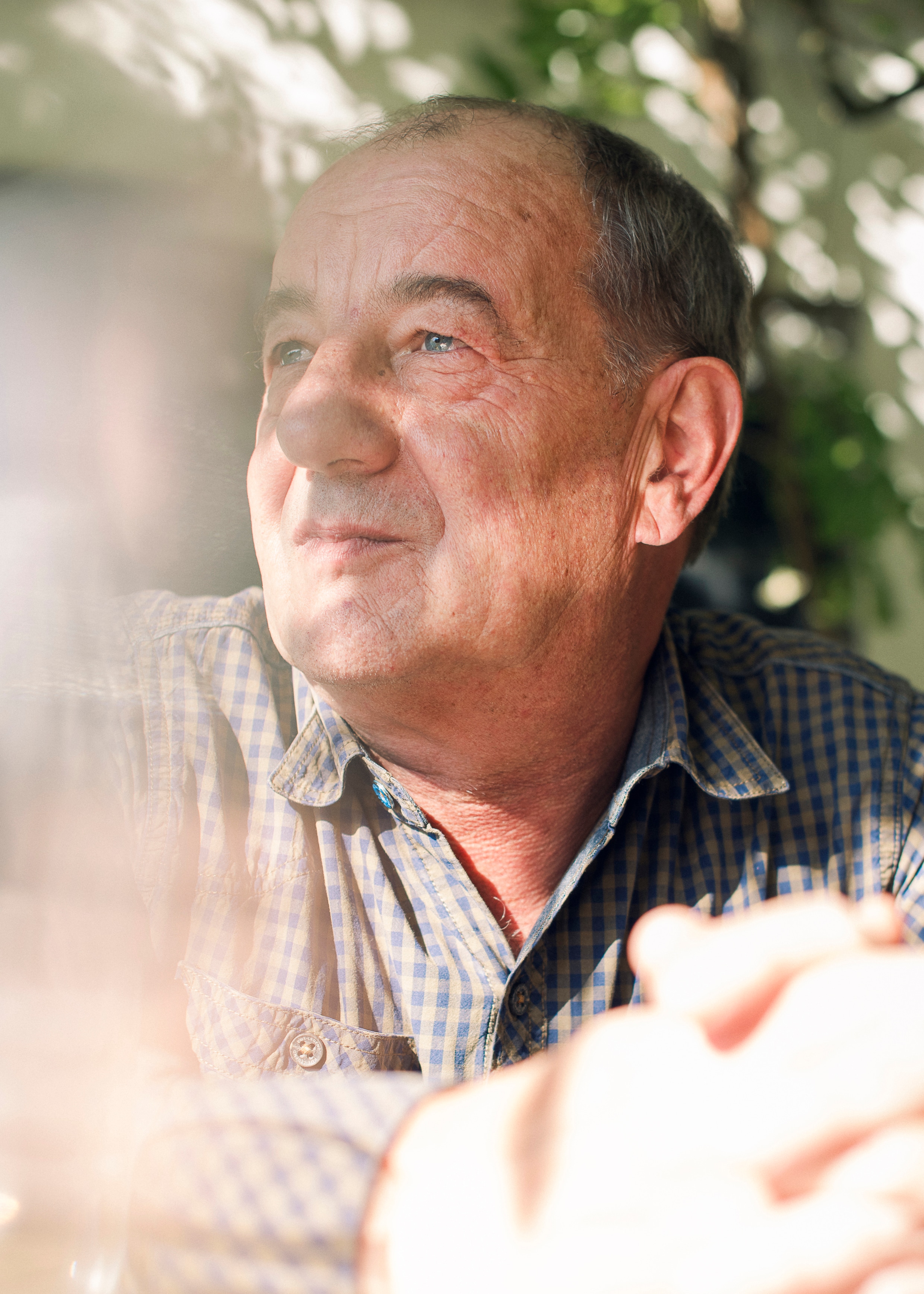 ‘Ja, Vlaams Belang kan stemmen verliezen door afschaffen opkomstplicht ...