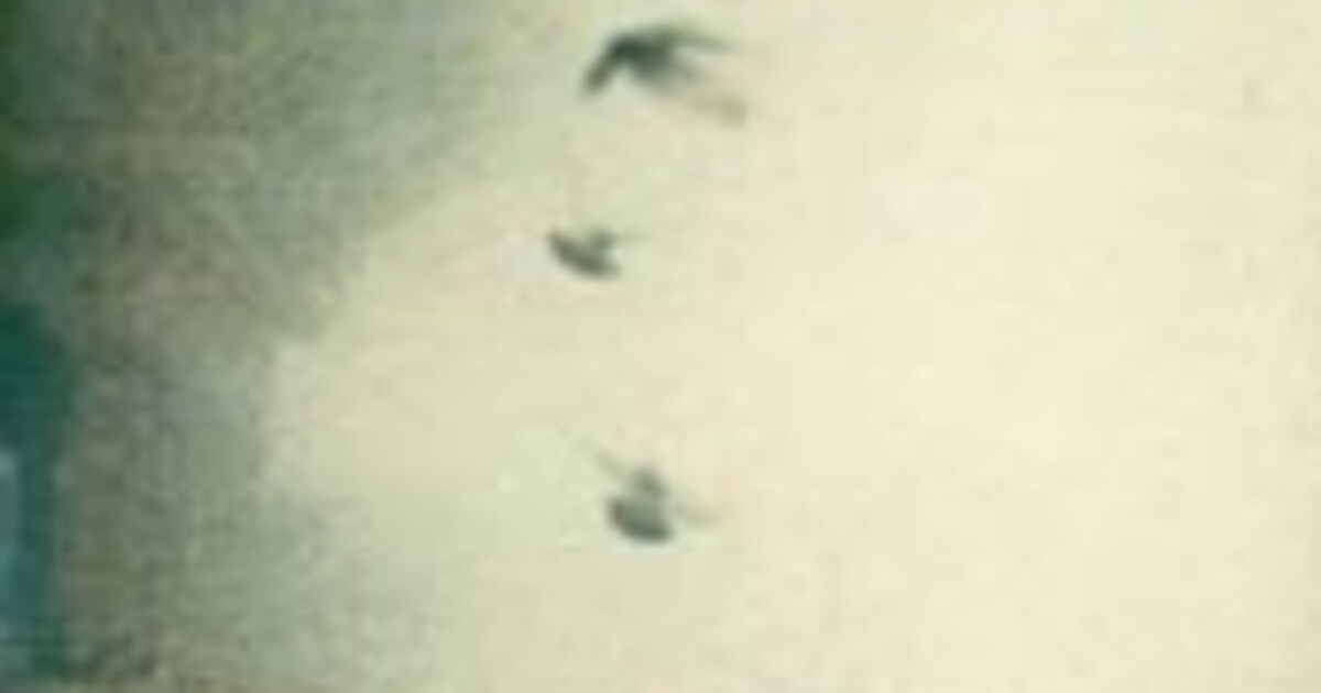 Igor Stiks - De stoel van Elijah | Humo: The Wild Site