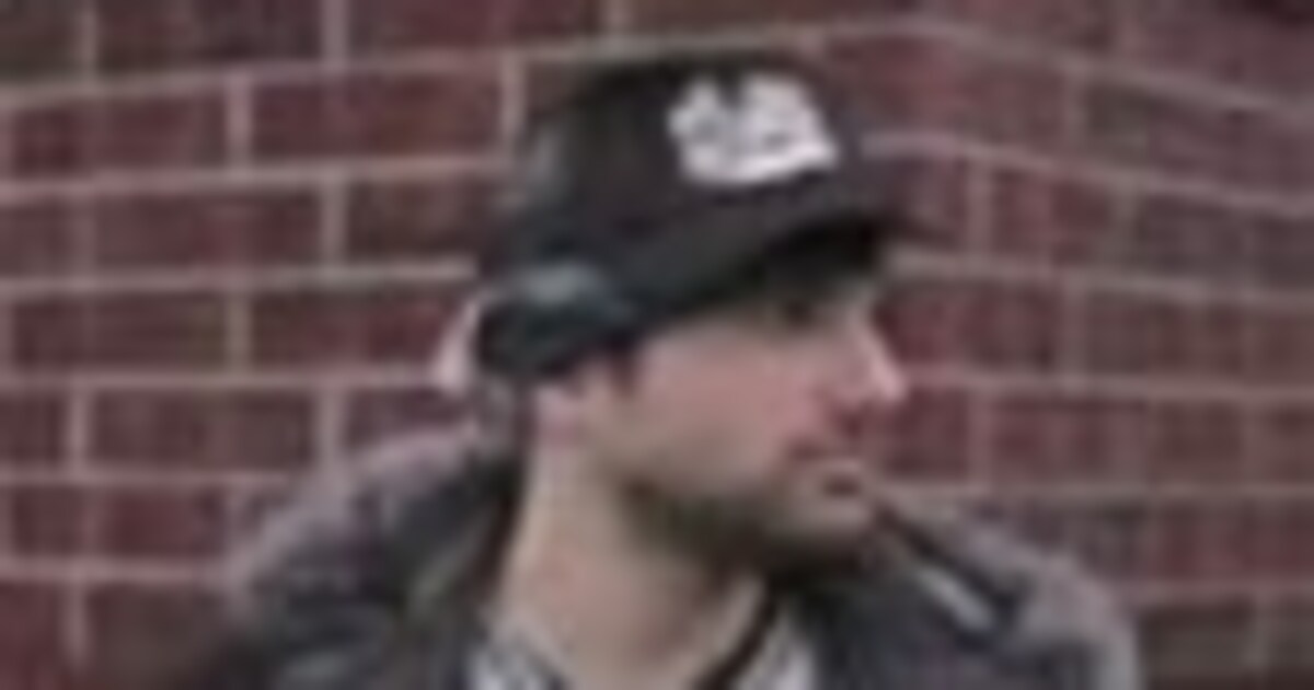 Everyday Normal Guy | Humo: The Wild Site