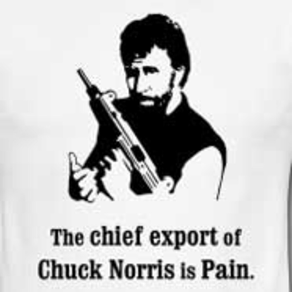 Chuck Norris Facts