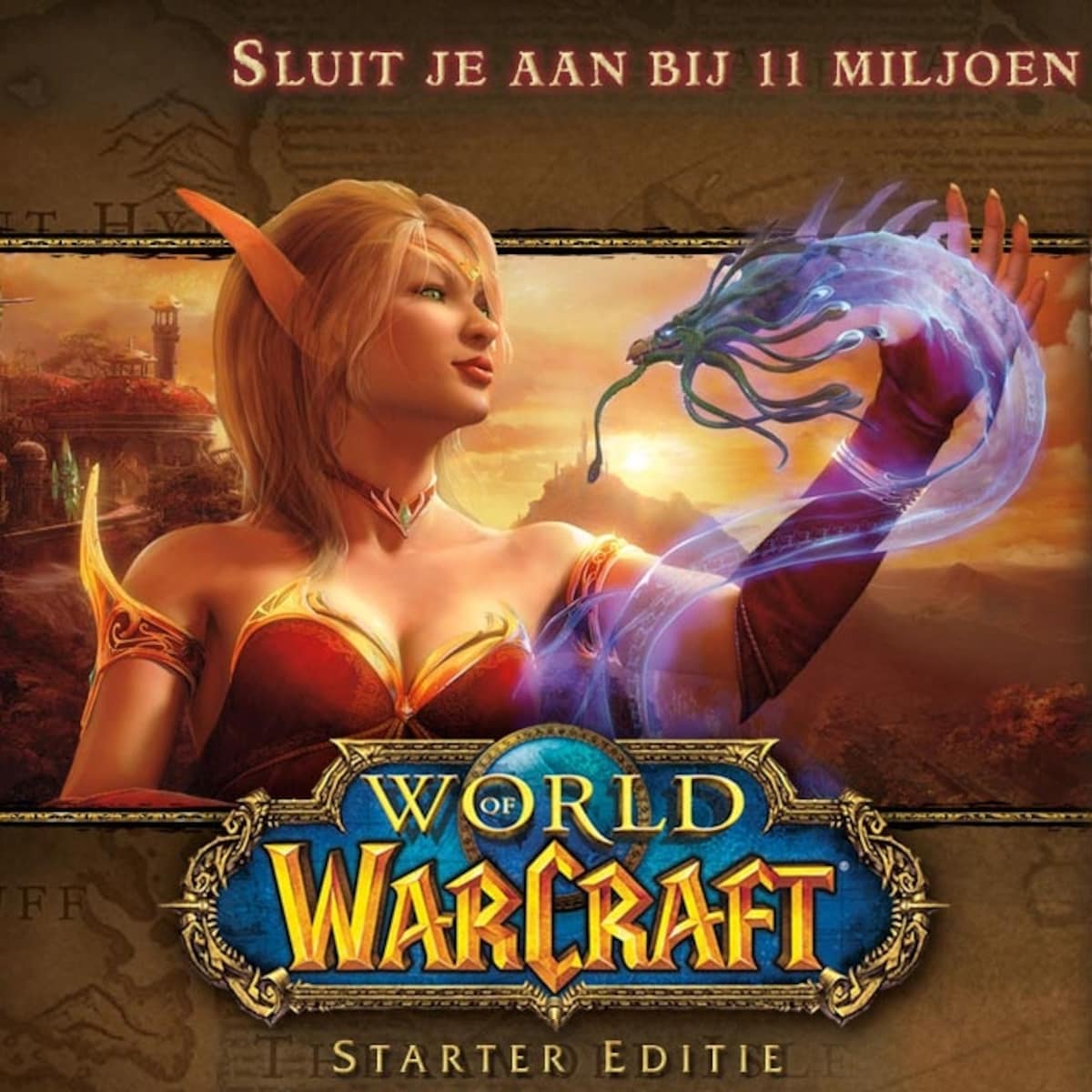 World Of Warcraft Grappig