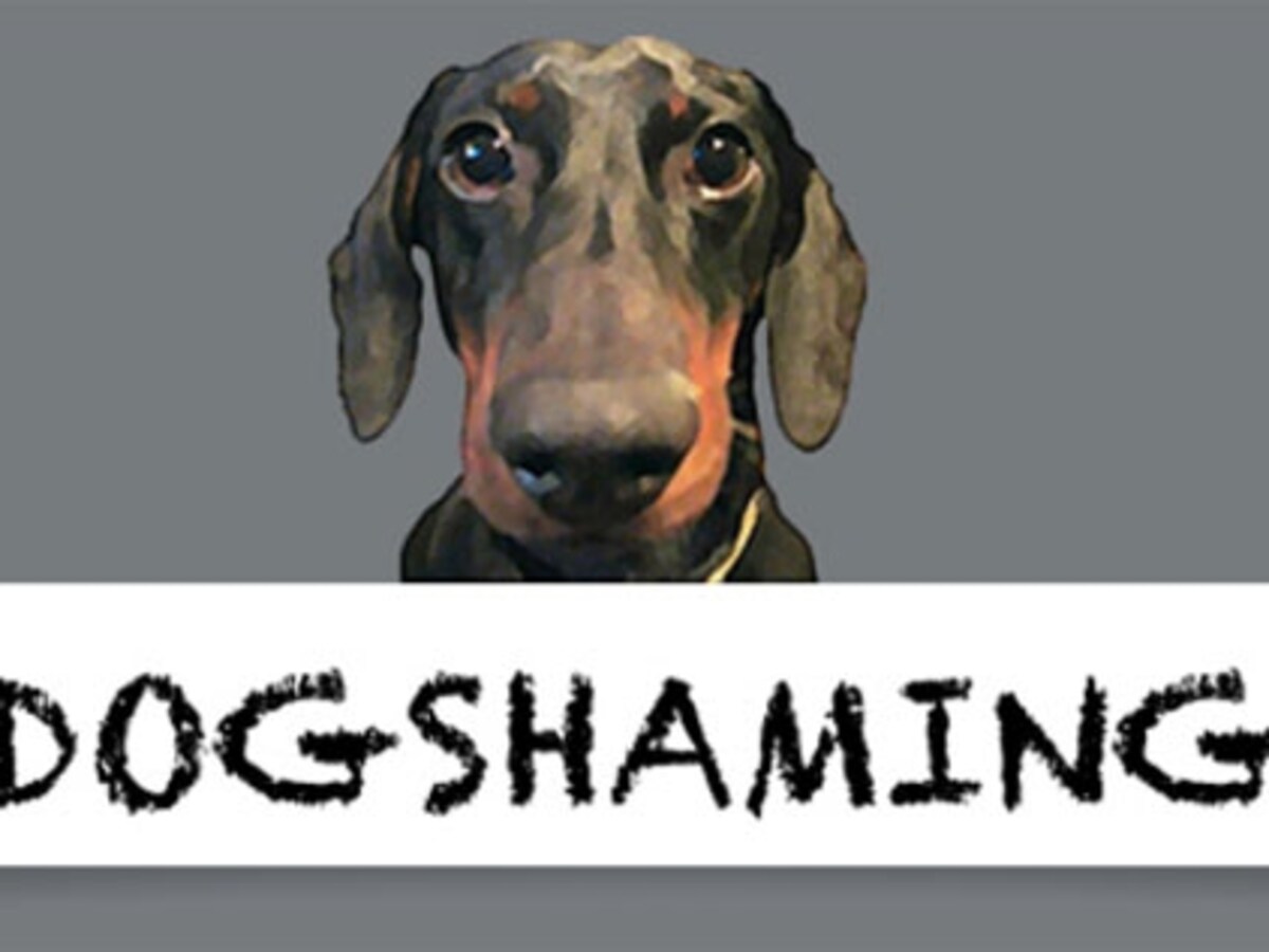 Hunde Shaming Rally O – Hondencentrum Zuid Holland