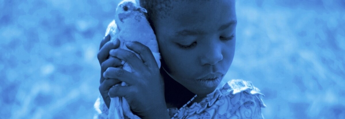 Film: Blue Bird | Humo: The Wild Site