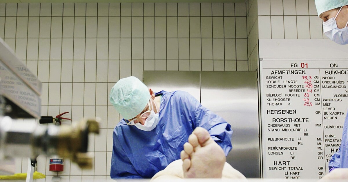 'Wetsdokters' op VTM | Humo: The Wild Site