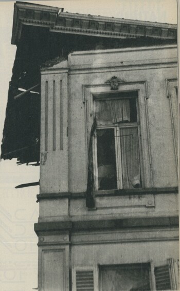 Dossier natuurrampen: de tornado in Oostmalle | Humo: The Wild Site