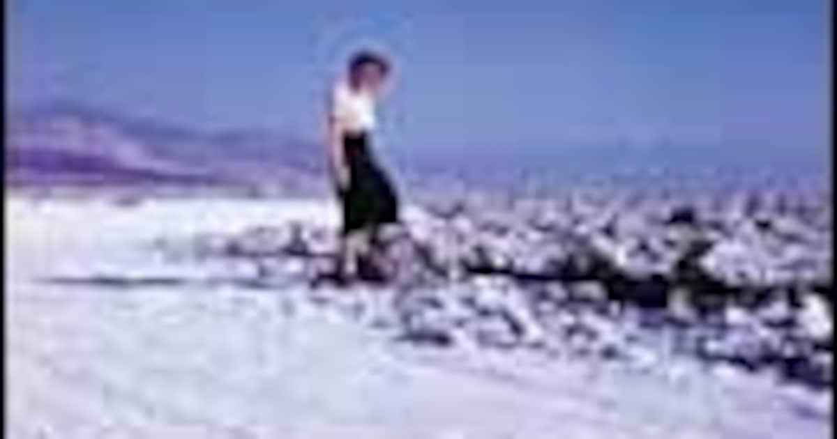 Review: Pinback - Blue Screen Life | Humo: The Wild Site