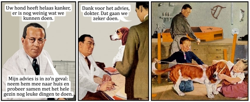 Jeroom viert Werelddierendag: ‘Gepetto! Ik dacht dat ik eeuwig in deze ...