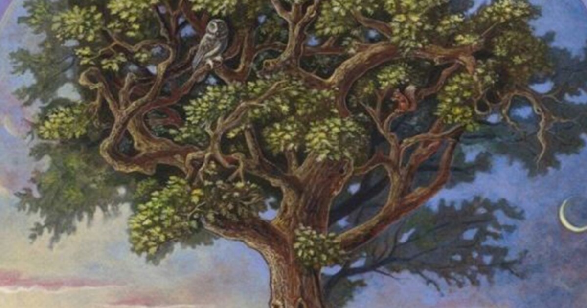 Bill Fay - Countless Branches | Humo: The Wild Site