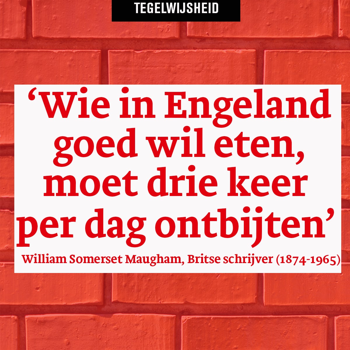 Tegelwijsheid | Humo: The Wild Site
