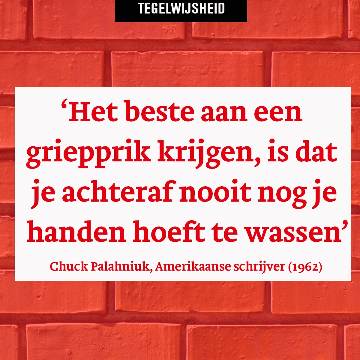 Tegelwijsheid | Humo: The Wild Site