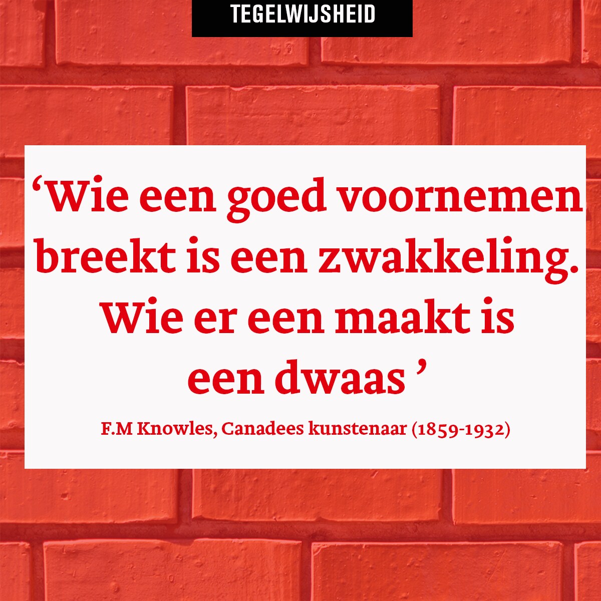 Tegelwijsheid | Humo: The Wild Site