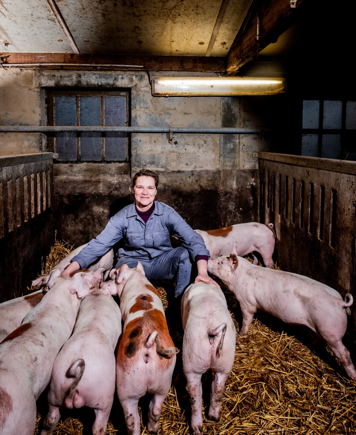 De zorgen van onze boeren: ‘Vroeger was boer zijn fysiek zwaar, vandaag ...