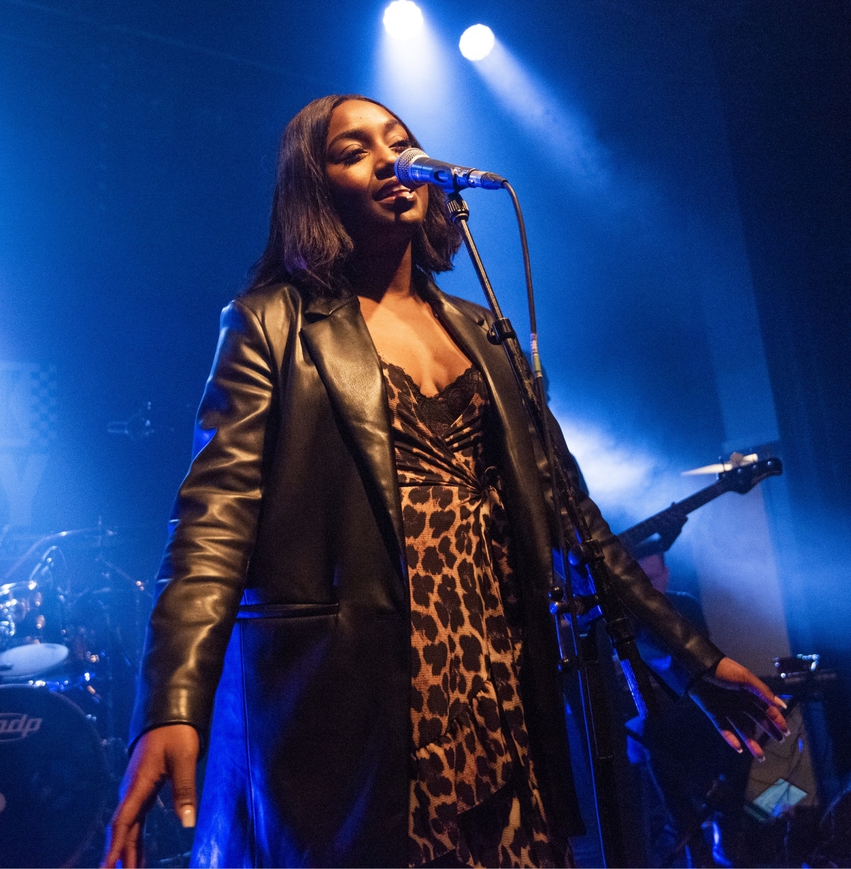 'Opsteker: de groeimarge is gigantisch' | Humo: The Wild Site