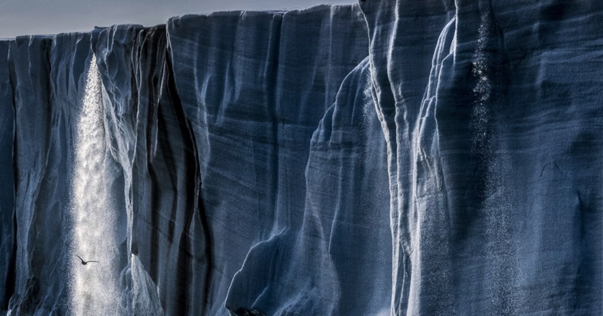 Pearl Jam - Gigaton | Humo: The Wild Site