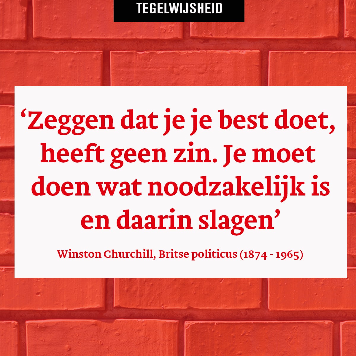 Tegelwijsheid | Humo: The Wild Site