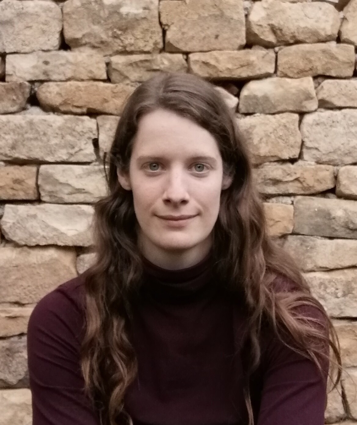 Te snelle afbouw van lockdown leidt tot grote sterfte | Humo: The Wild Site