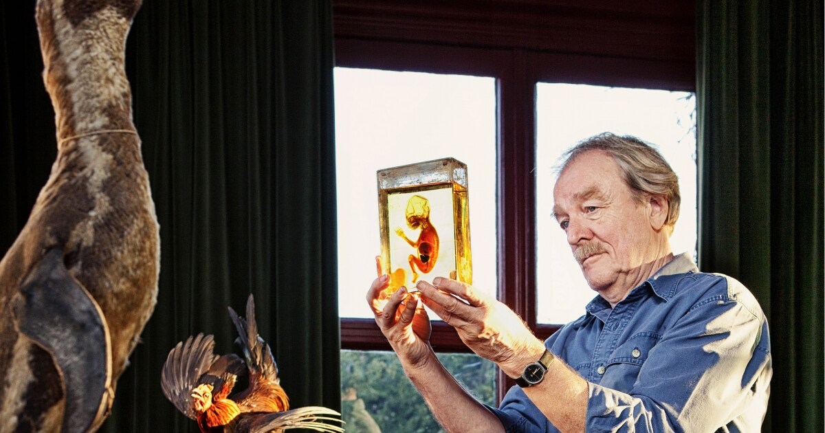 Midas Dekkers: ‘Het medicijn waar iedereen nu zo naarstig naar zoekt ...