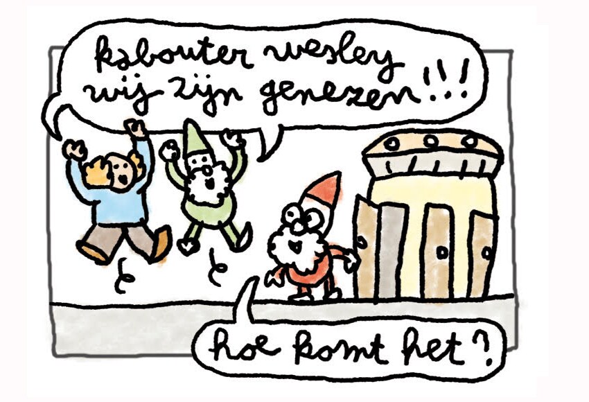 10 jaar na het laatste avontuur: Kabouter Wesley, de superéénmalige ...