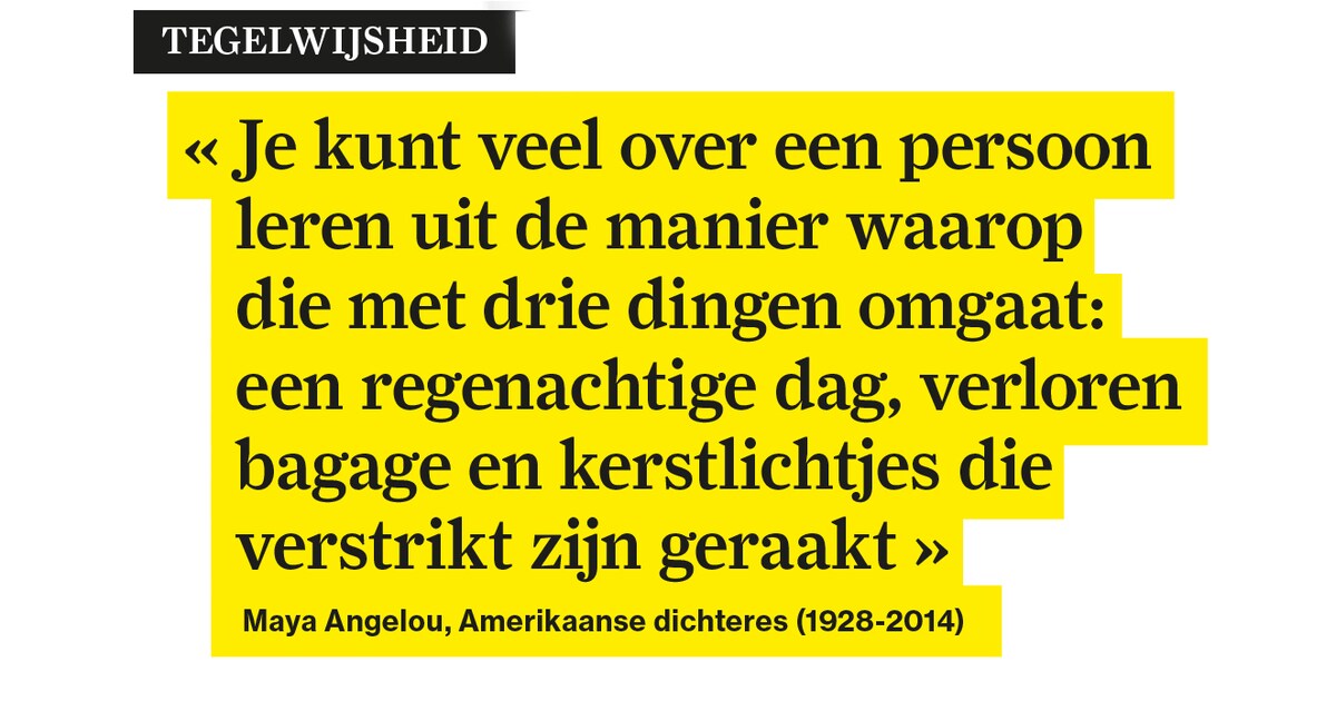 Tegelwijsheid | Humo: The Wild Site