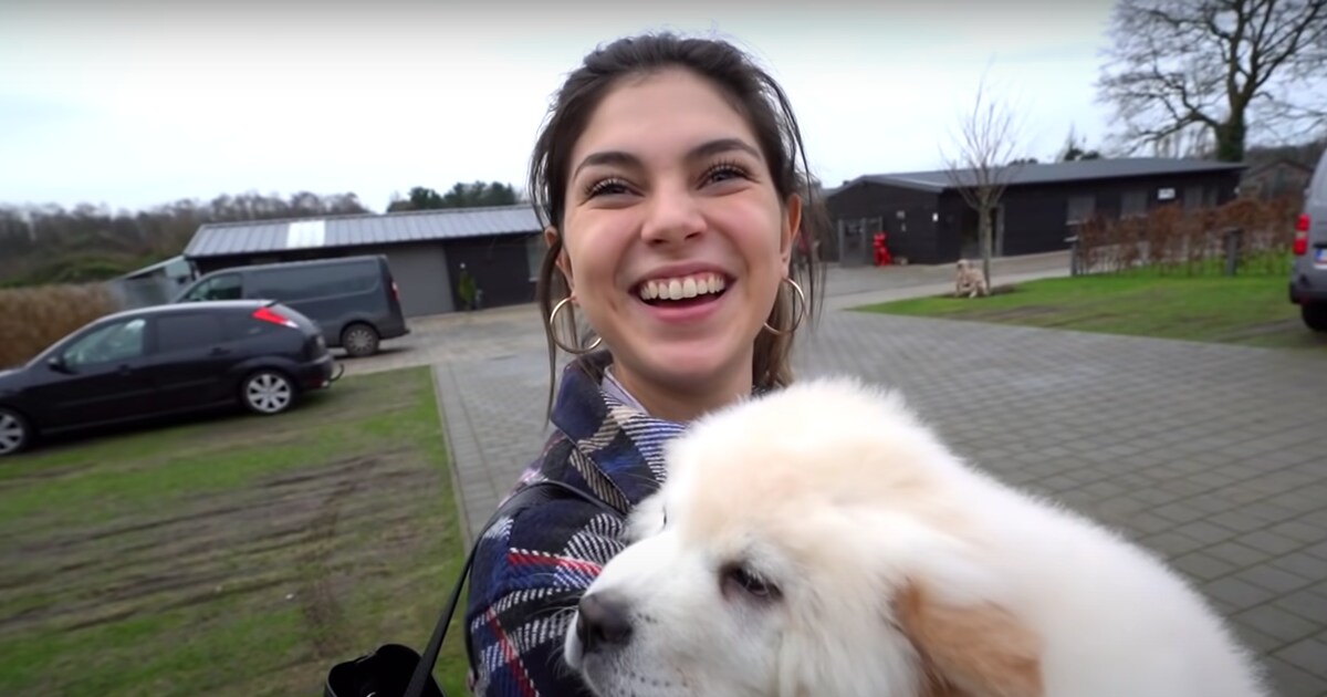 ‘Broodfokkers behandelen hun dieren als kweekmachines’ | Humo: The Wild ...