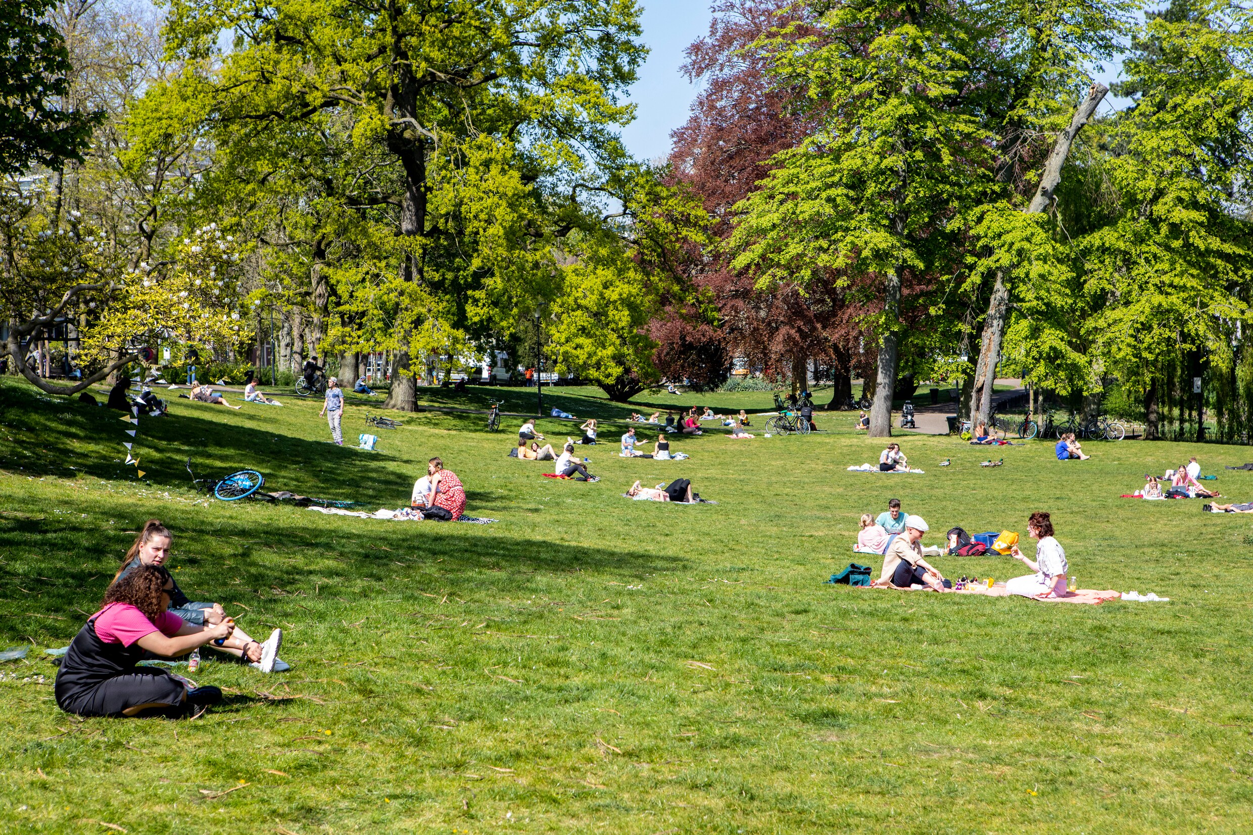 Stralend weer op komst: zal de lente het virus verdrijven? | Humo: The ...
