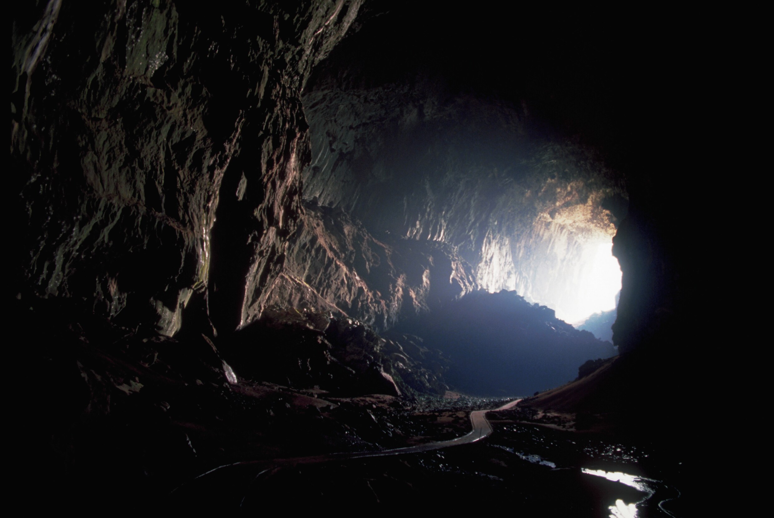 Vijftien Fransen gaan 40 dagen in een grot wonen: ‘Geen zonlicht, geen ...