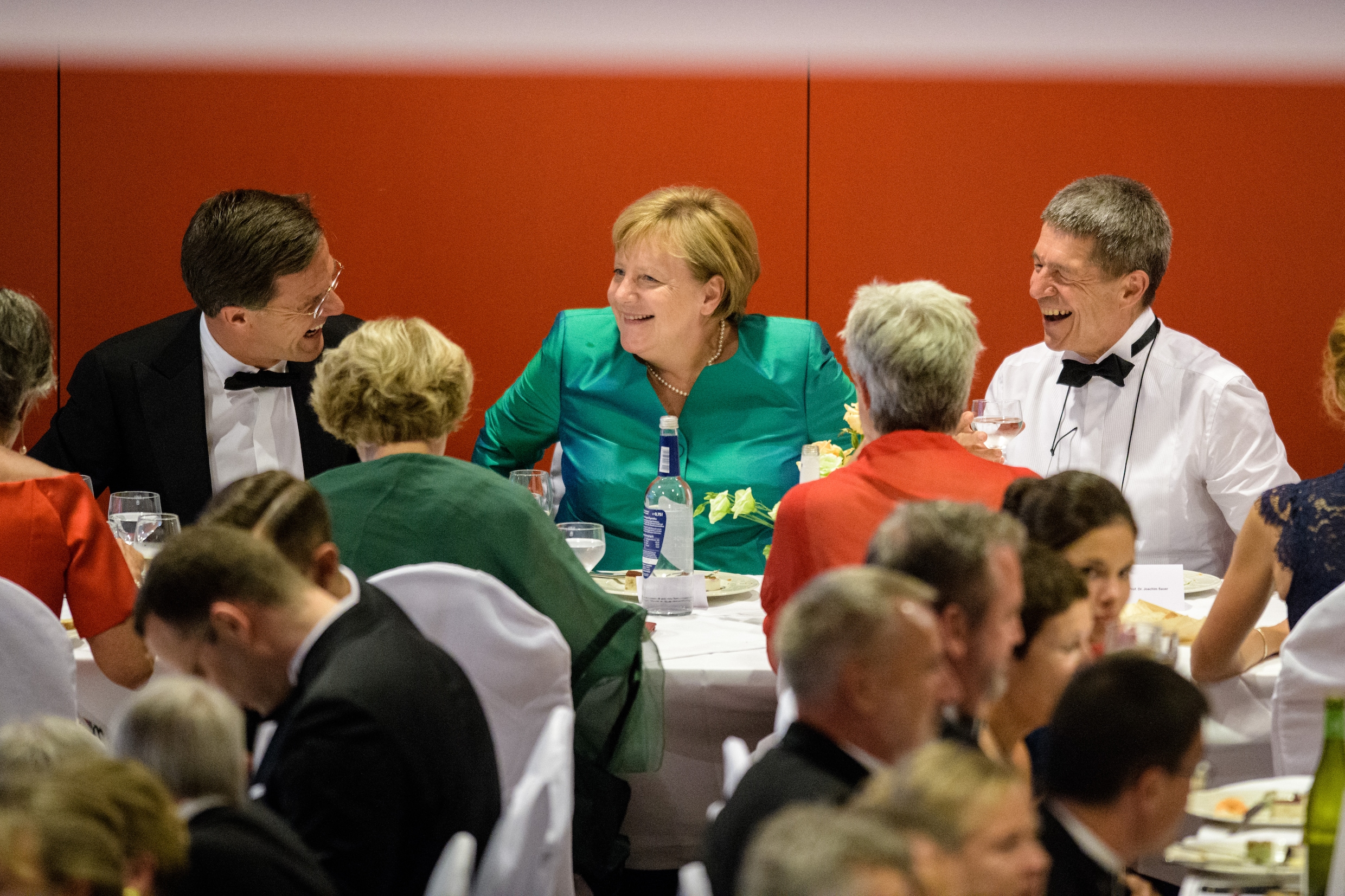 De 7 Hoofdzonden van Mark Rutte: ‘Hij gebruikt schreeuwen en schelden om iemand in het gareel te ...