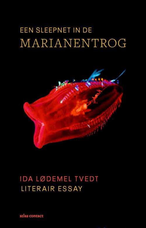 ‘Een sleepnet in de Marianentrog’ is een subliem debuut dat verwondert ...