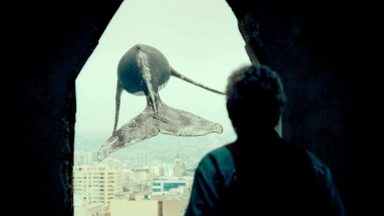 Het zwarte badpakje van Jennifer Lawrence, een vliegende walvis en een ...