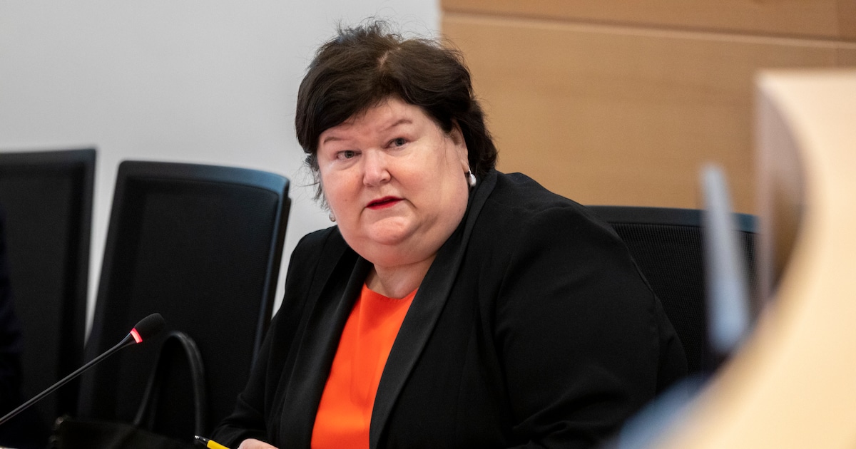 De btw op energie: ‘Redeneringen als die van Maggie De Block, díé zijn ...