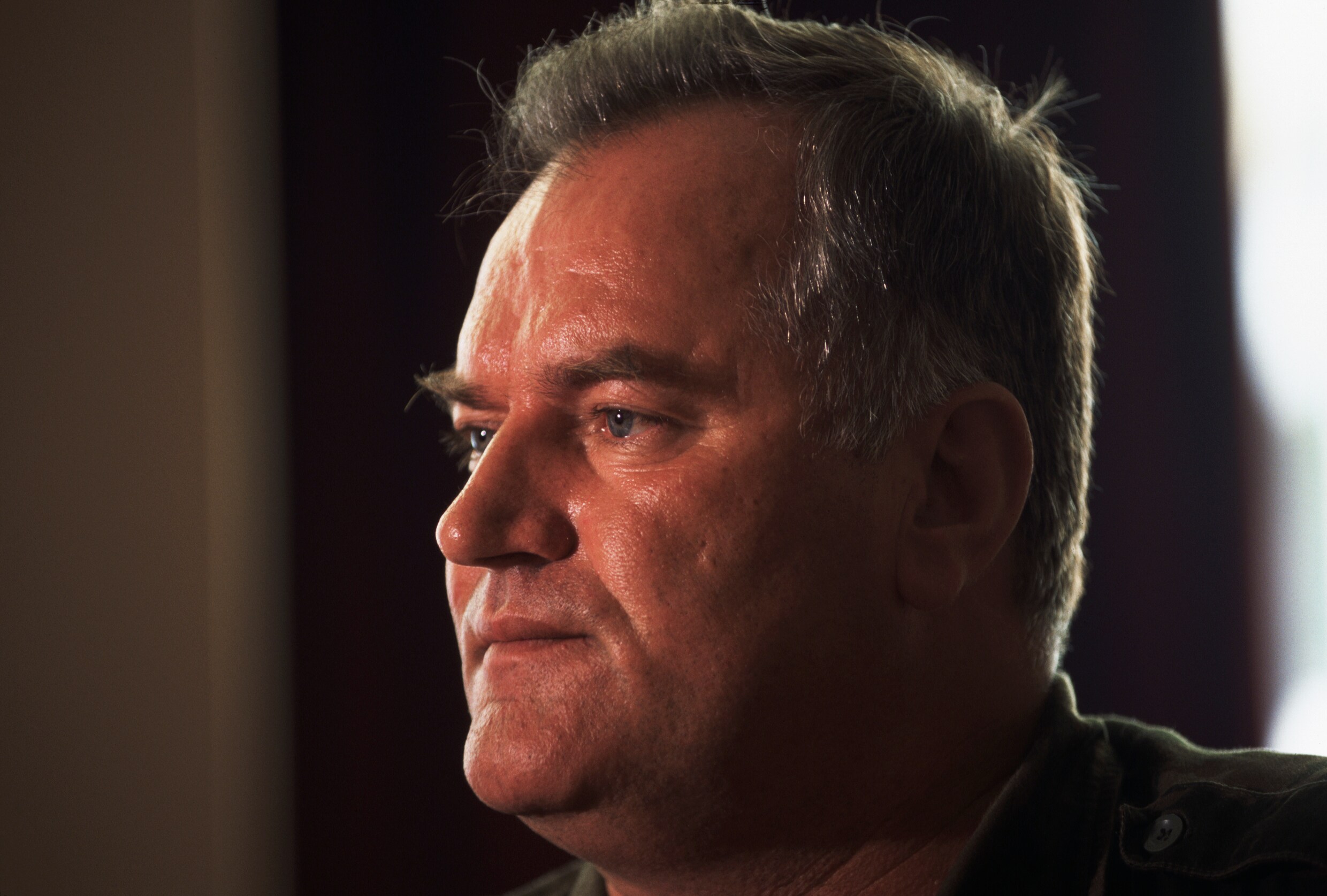 Op zoek naar het netwerk dat bescherming bood aan Ratko Mladic: ‘Als ...