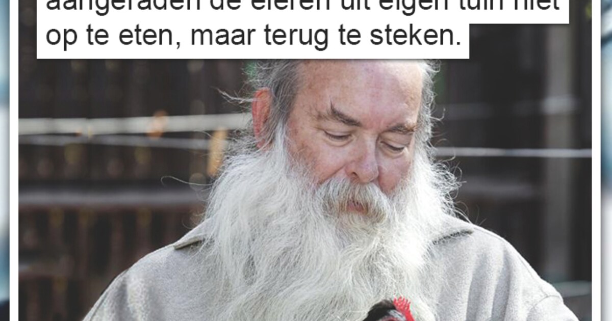 Het Gat van de Wereld over de vervuiling van 3M: omwonenden zijn de ...