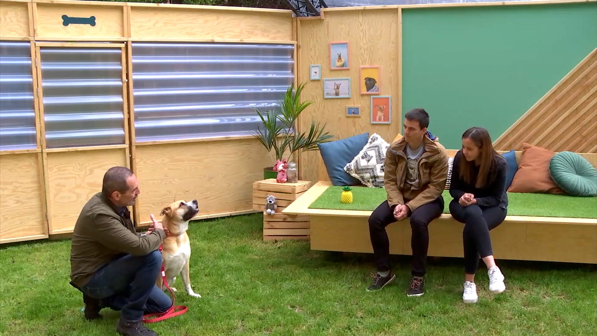 ‘Viervoeters’ op Play4 is het meest verantwoorde datingprogramma in ...
