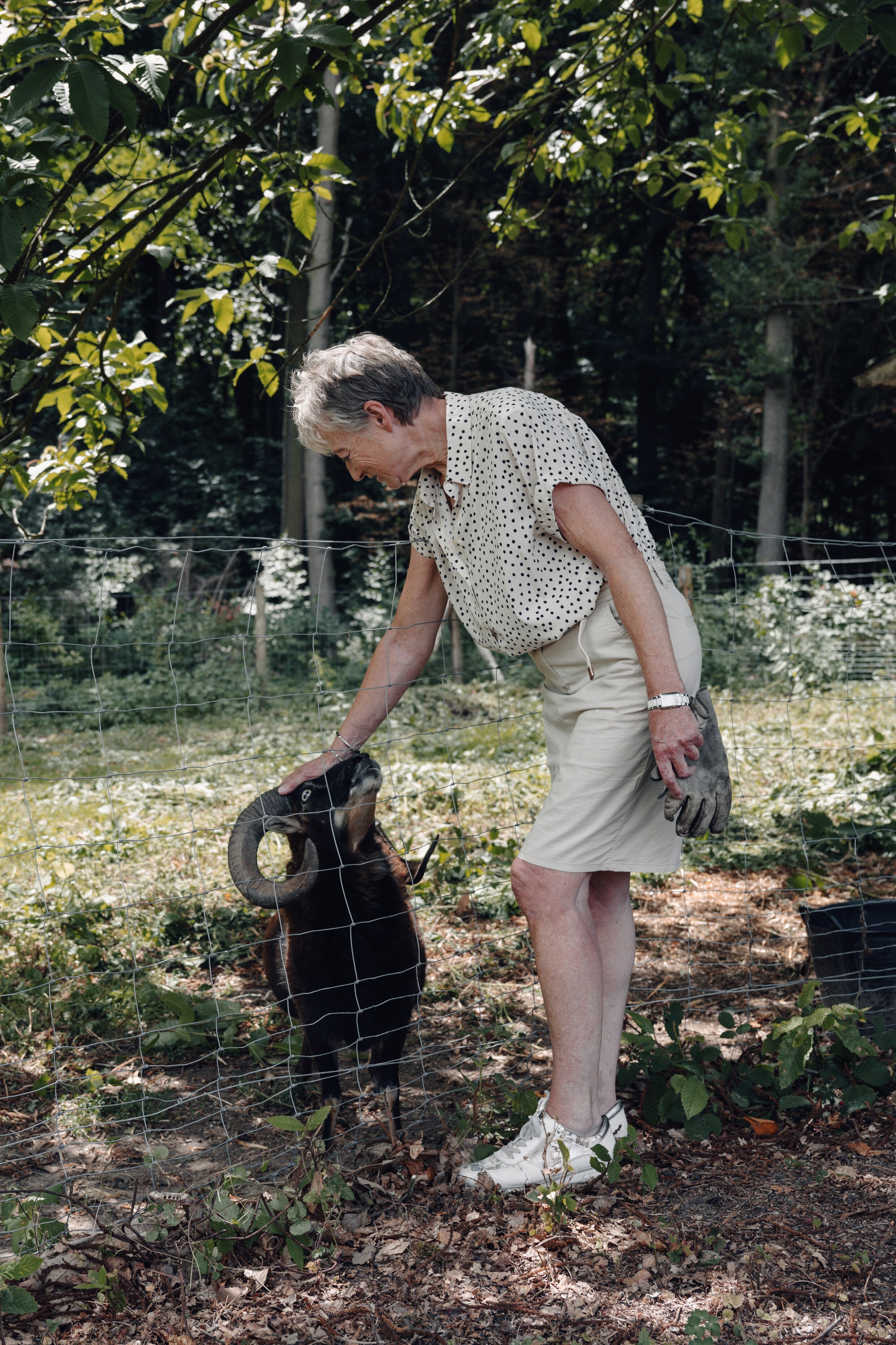 Martine Tanghe: ‘Ik heb er destijds niet bij gezegd wannéér het ...