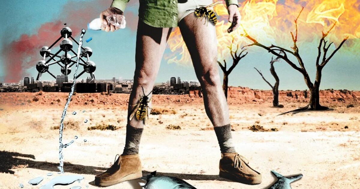 De tol van de hete zomer: ‘Er duikt bijna elke week een nieuwe zuiderse ...