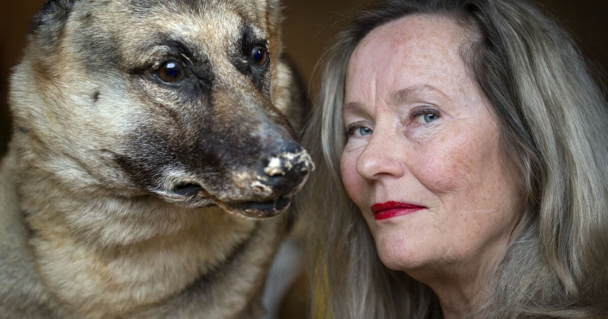 In het hoofd van Michelle Martin: ‘Als we niet op elkaar letten, krijg ...