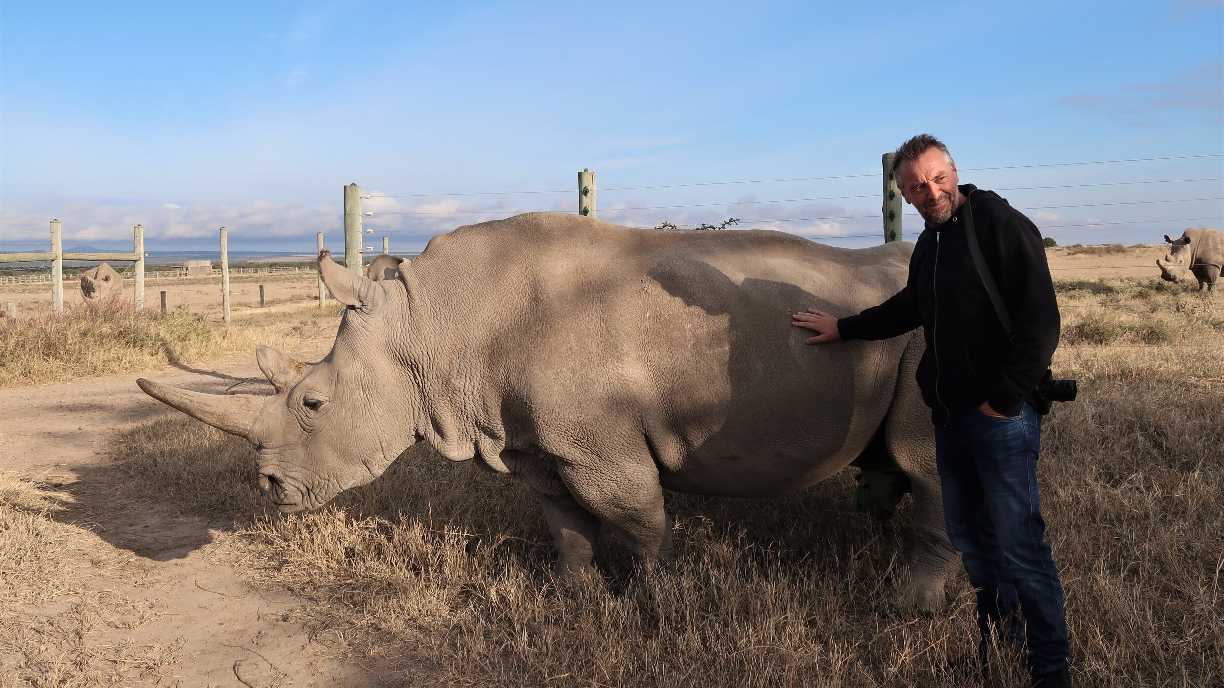 Recensie 'Reizen Waes': een Belgenmop in Nairobi ★★★☆☆ | Humo: The Wild Site