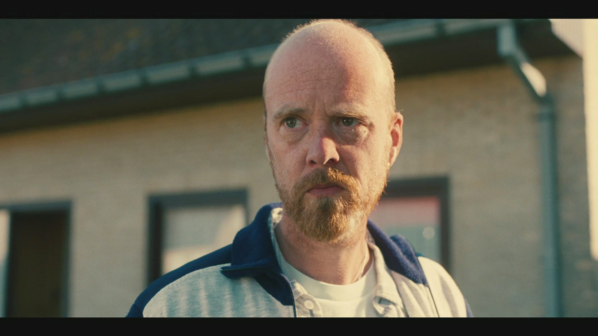 Steven Mahieu van het podium naar de tv-set: ‘Tiny op de boerderij ...