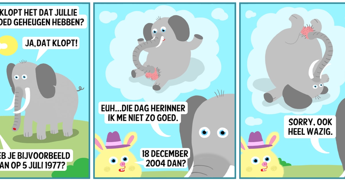 Elke zondag een klassieker van Jeroom | Humo: The Wild Site