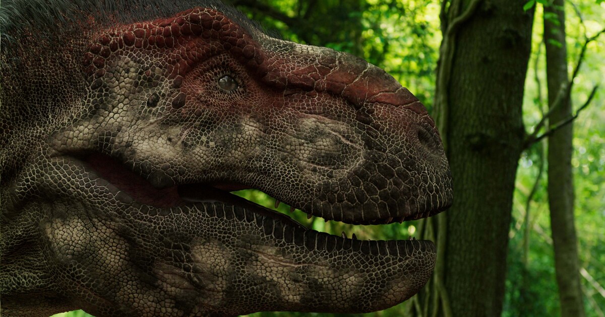 Jane Goodall als Wintergast, David Attenborough tussen de dinosauriërs ...