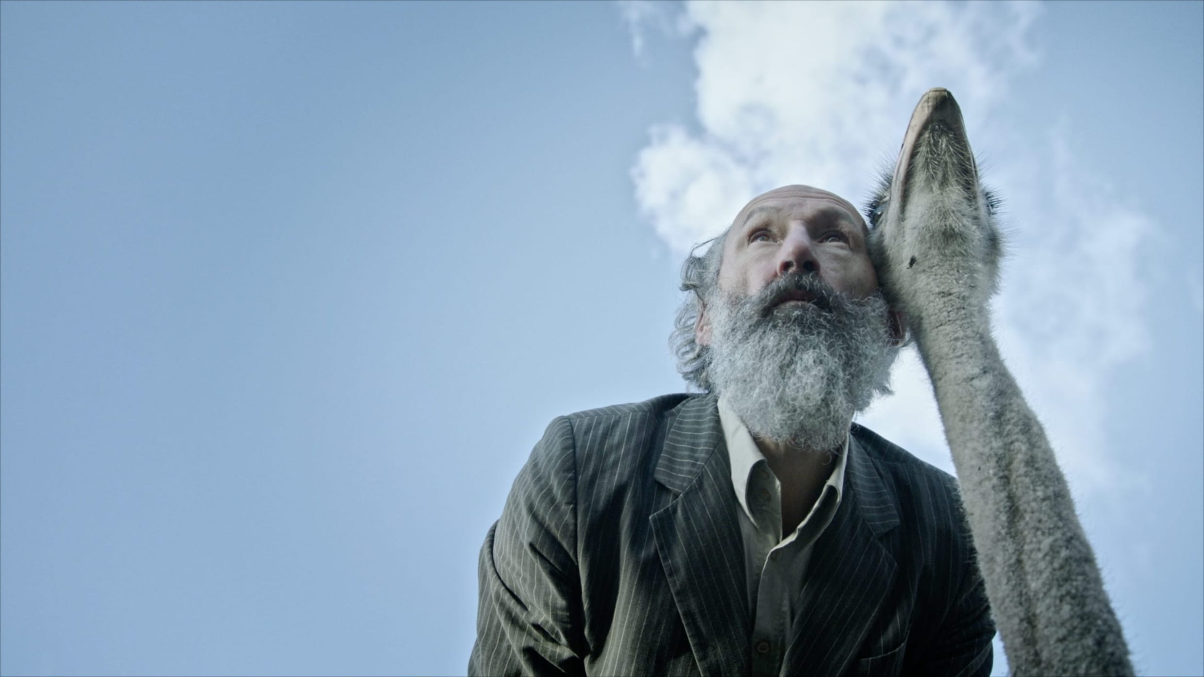 Herwig Ilegems: ‘Met woorden kun je bij de dieren niet veel aanvangen ...