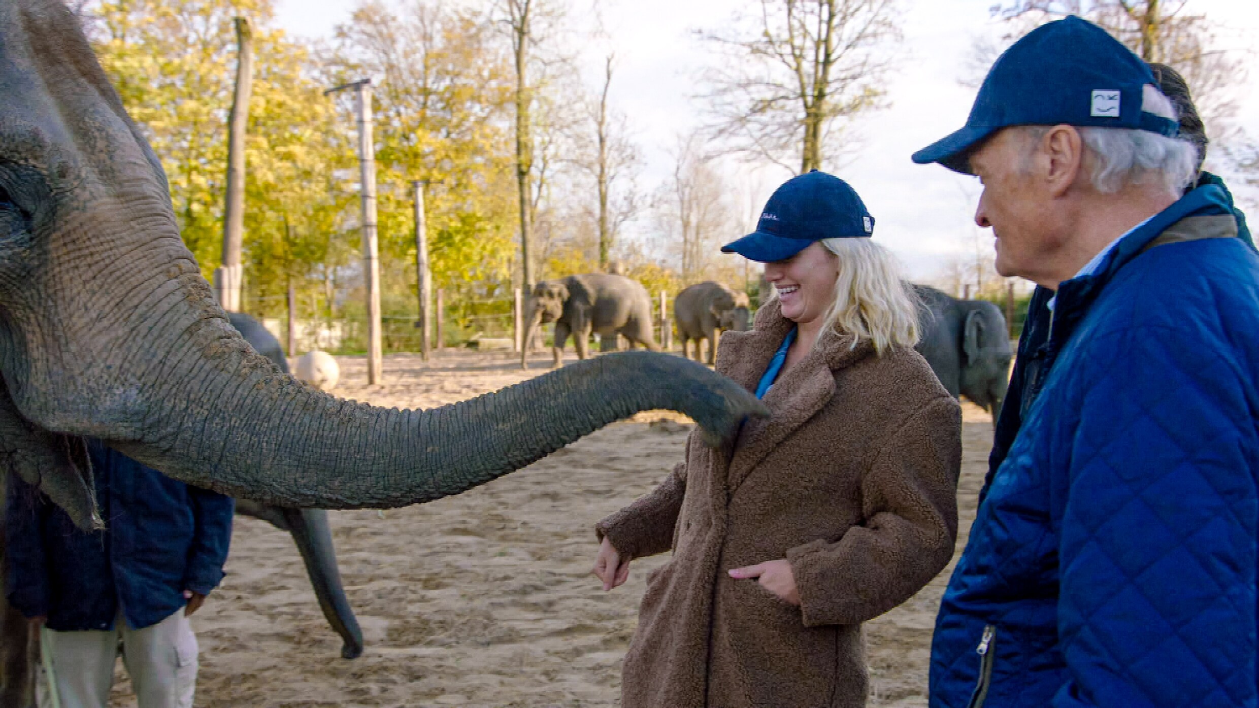 Recensie 'De Vermeires' op VTM: we begonnen te wanhopen | Humo: The ...