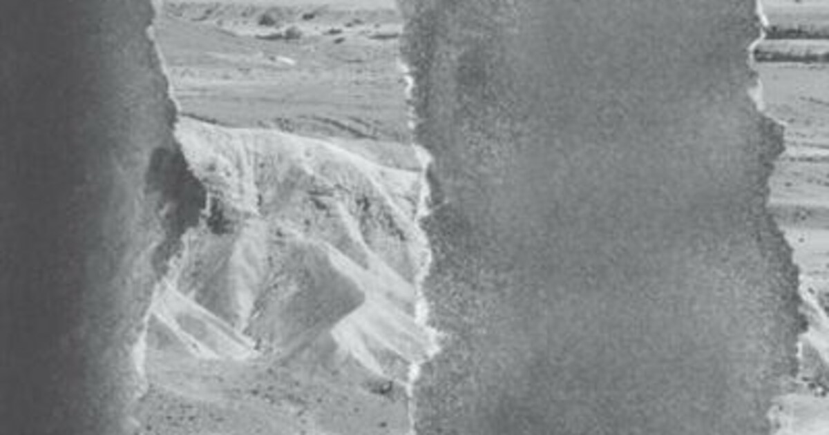 Review 'Een klein detail' (Adania Shibli) | Humo: The Wild Site Review 'Een klein detail' (Adania Shibli) | Humo: The Wild Site