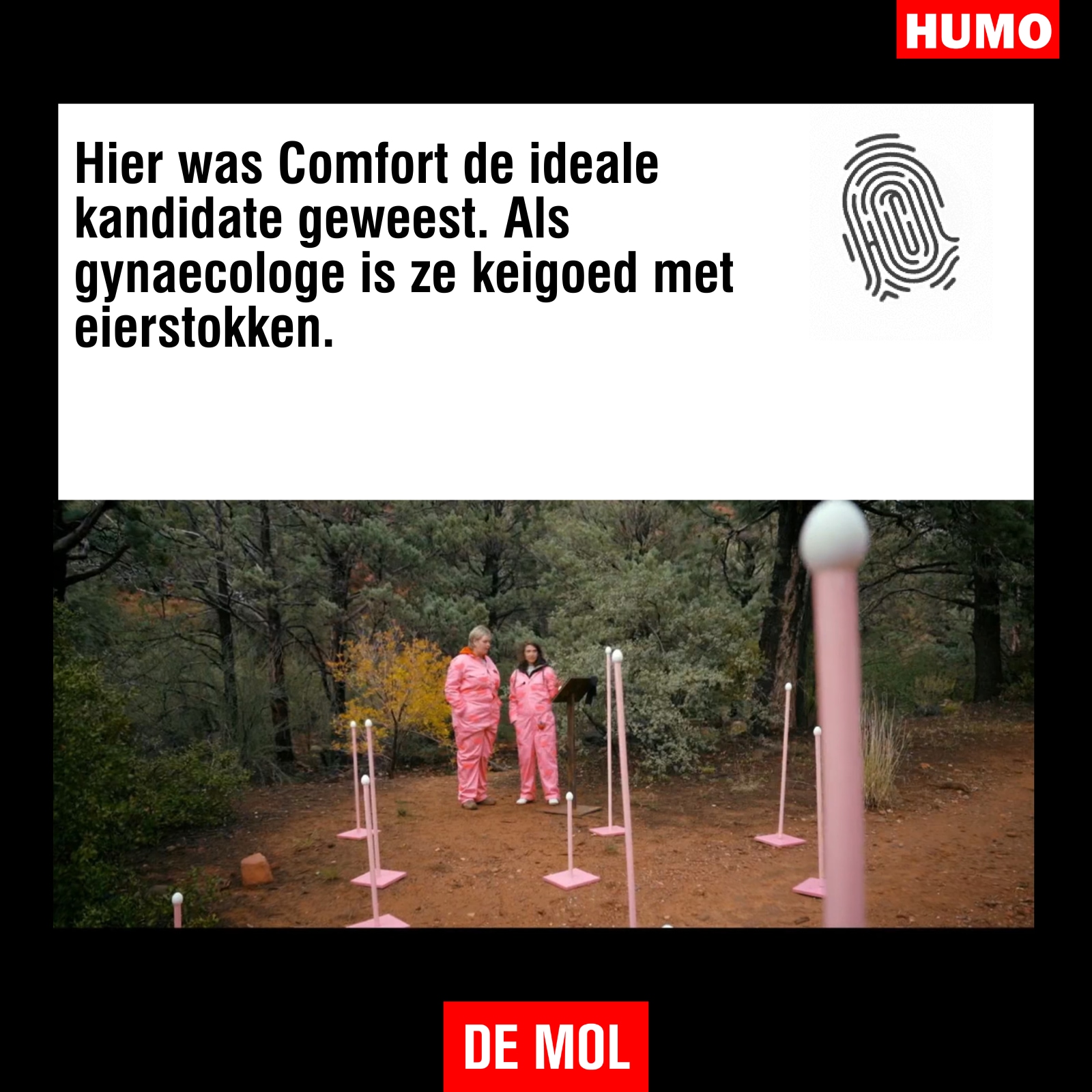 De beste memes na aflevering 3 van ‘De mol’: over Niels Destadsbader ...