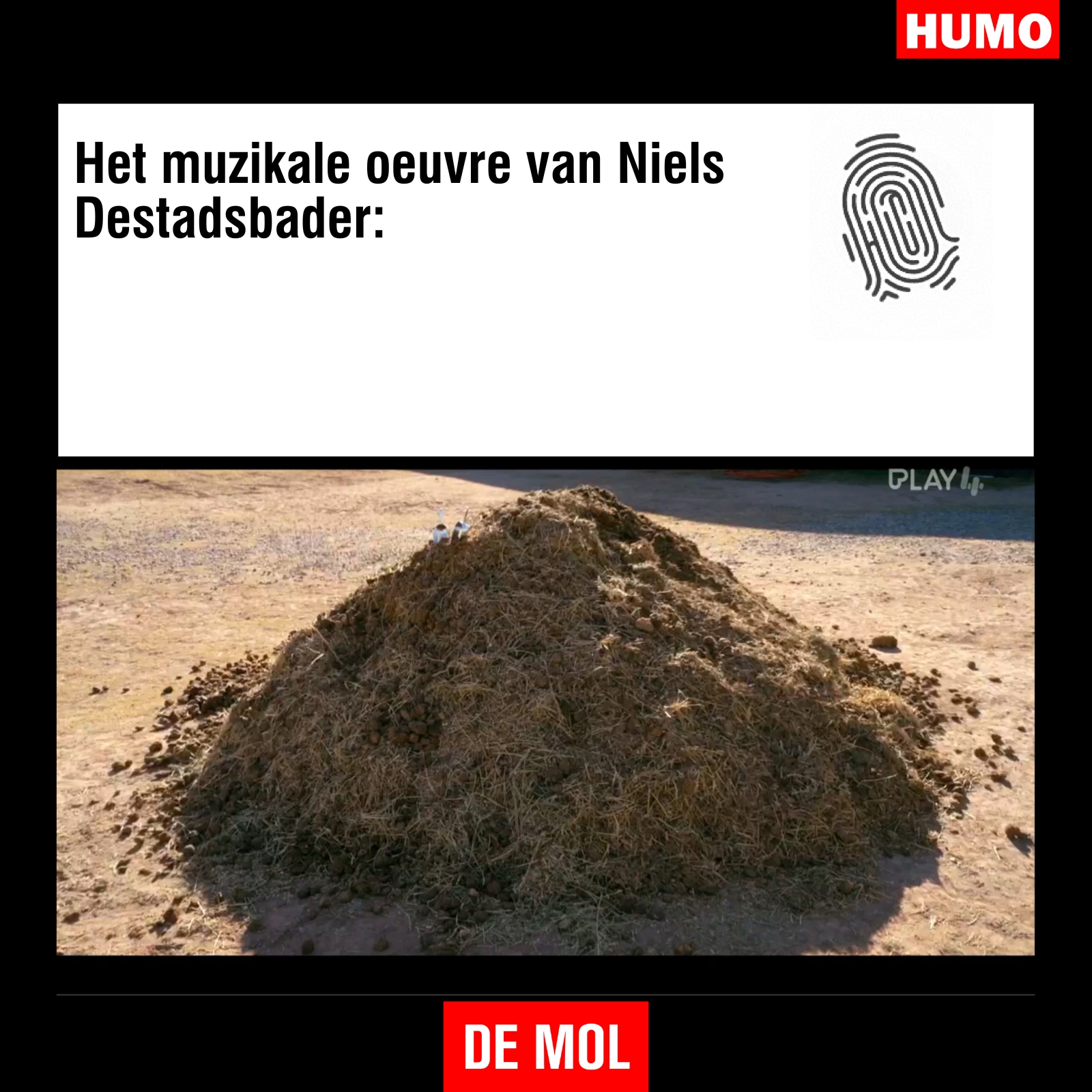 De beste memes na aflevering 3 van ‘De mol’: over Niels Destadsbader ...