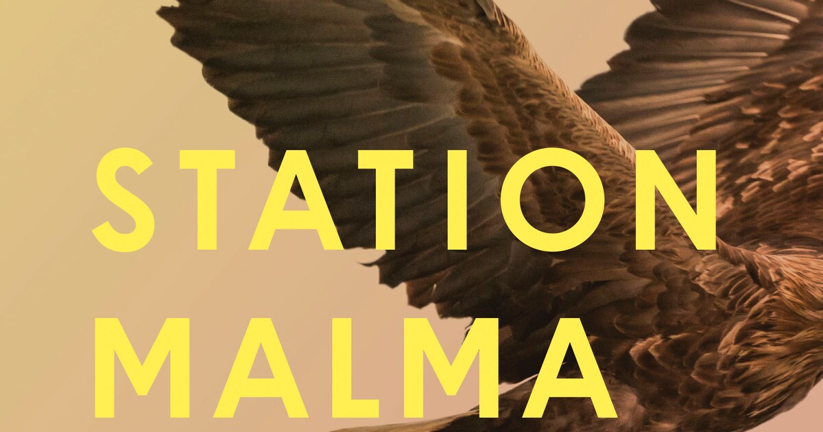 Review 'Station Malma' van Alex Schulman | Humo: The Wild Site