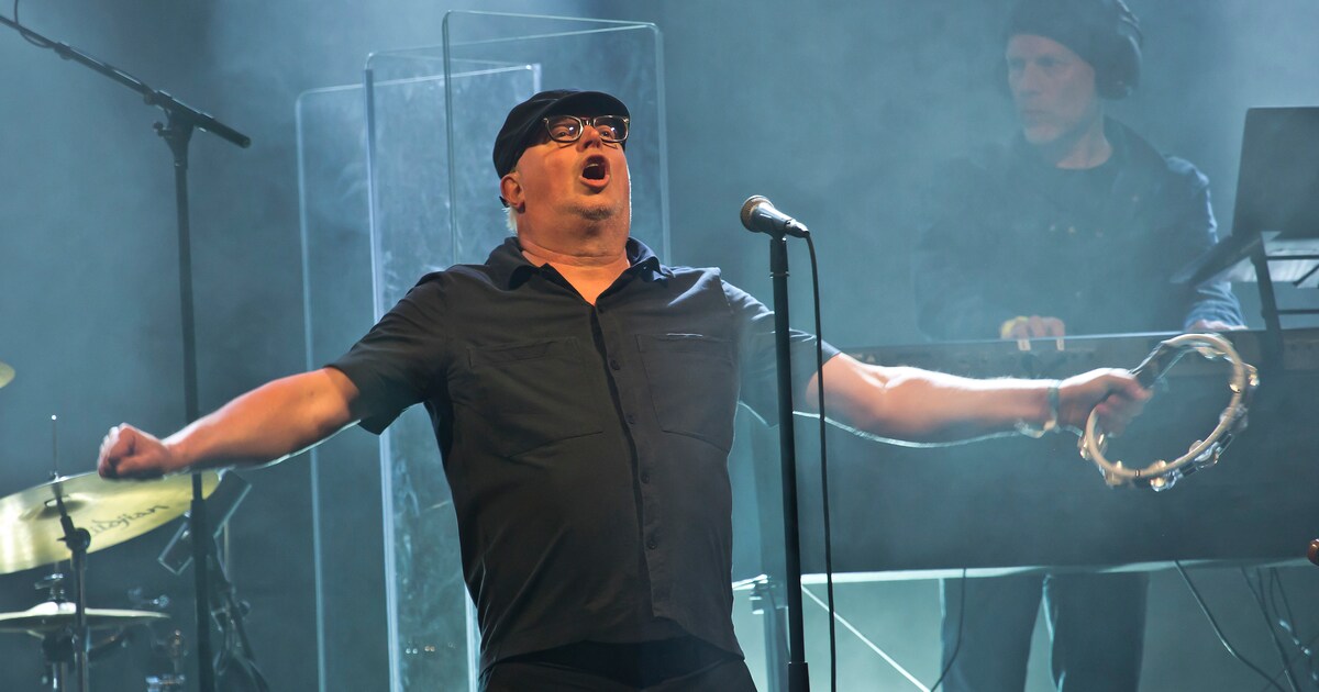 Bert van het concert | Humo: The Wild Site