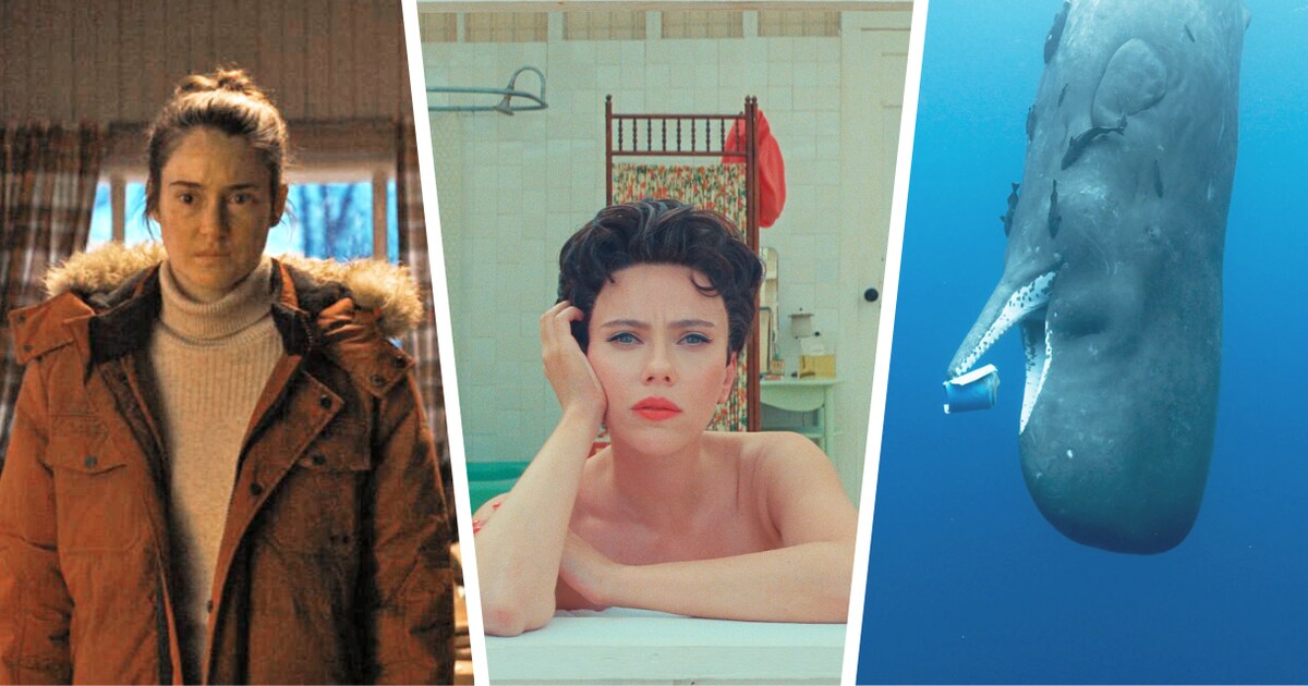 De nieuwste van Wes Anderson en Tom Waes als walvis: de films die u deze week (niet) in de ...